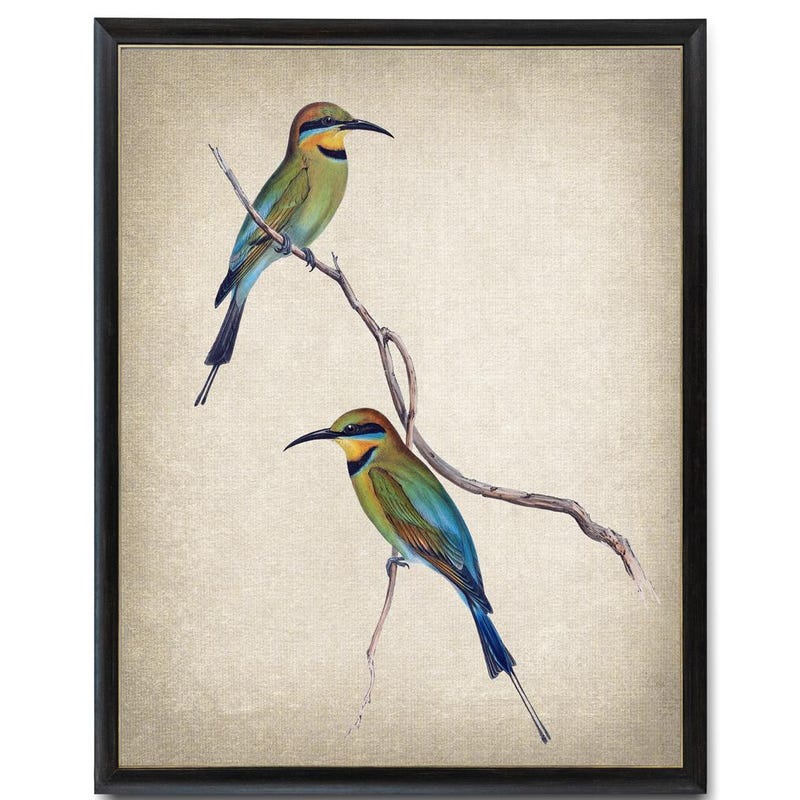 Bee Eater - Etsy
