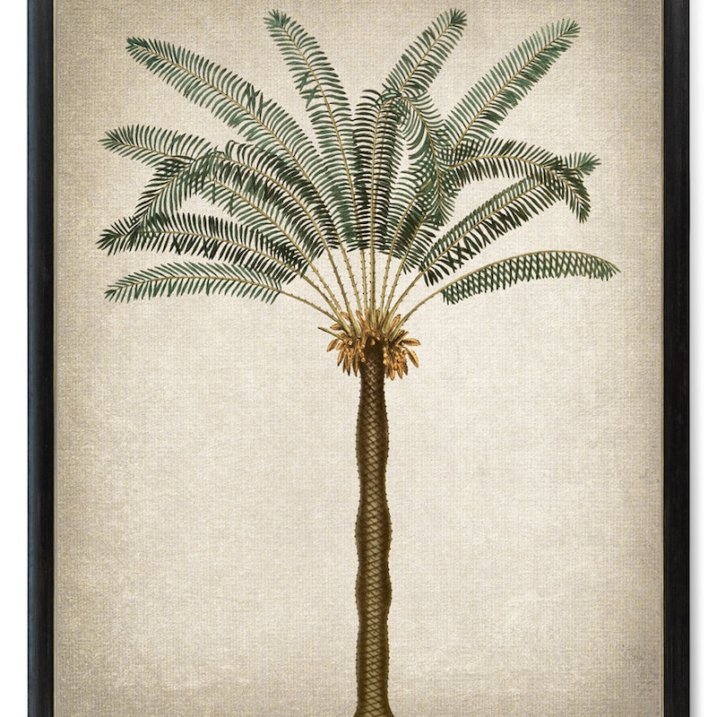 Palm Tree Art - Etsy
