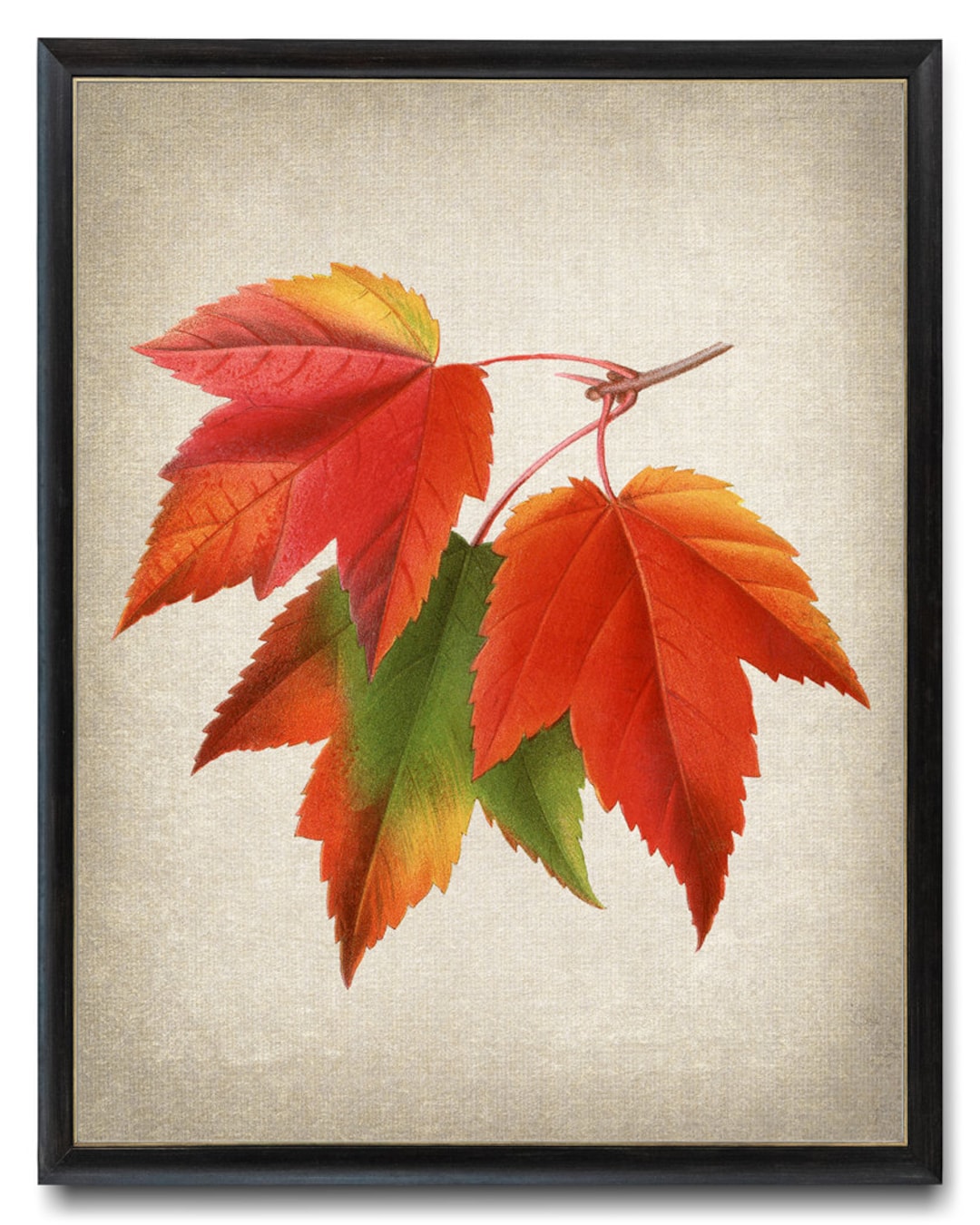 Red Maple Leaves Digital Print, Vintage Illustration, Fall Leaf ...