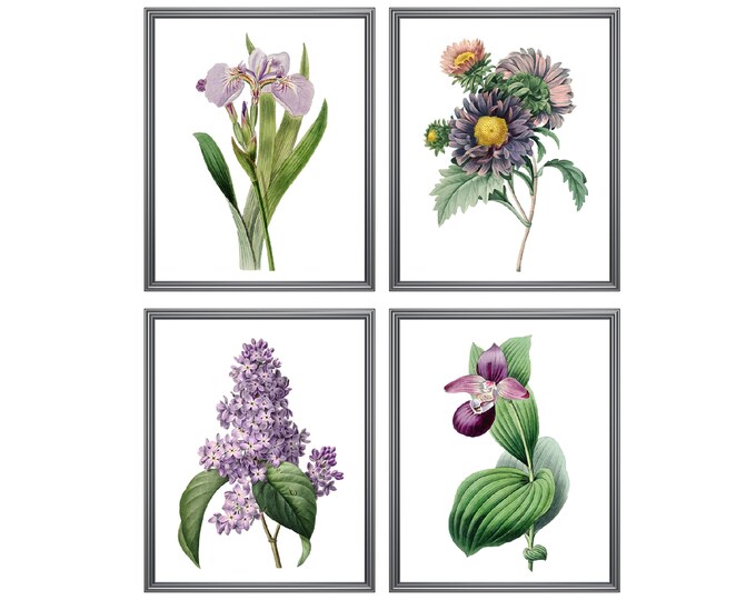 Purple Flower Prints, Vintage Illustrations, Botanical Wall Art Set of ...