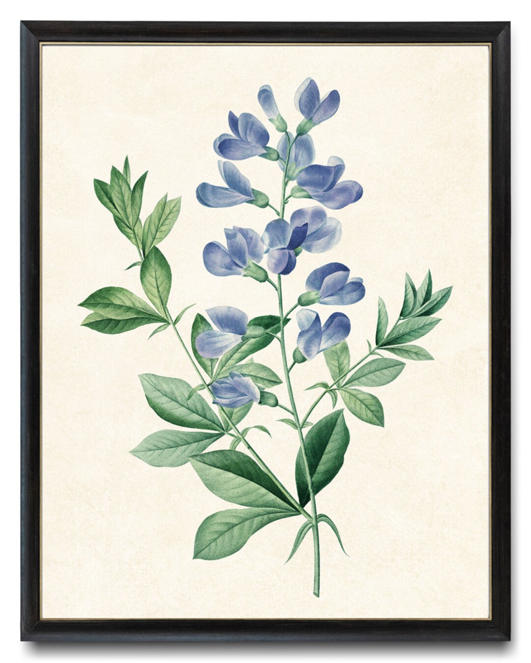 11x14 Blue Flowers Printable 'blue Wild Indigo' - Etsy