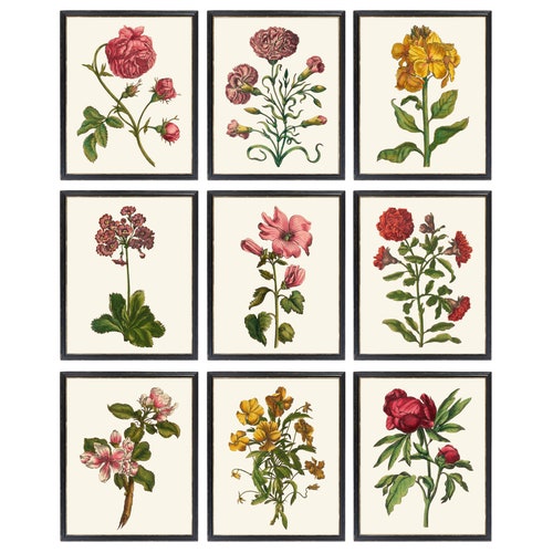 Antique Flowers Set of 9 Digital Prints 18th Century Floral - Etsy