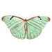 Mint Green Butterfly Printable Art, Vintage Insect Illustration ...