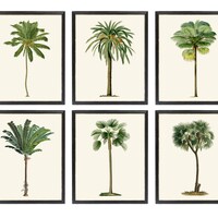 Palm Tree Art - Etsy