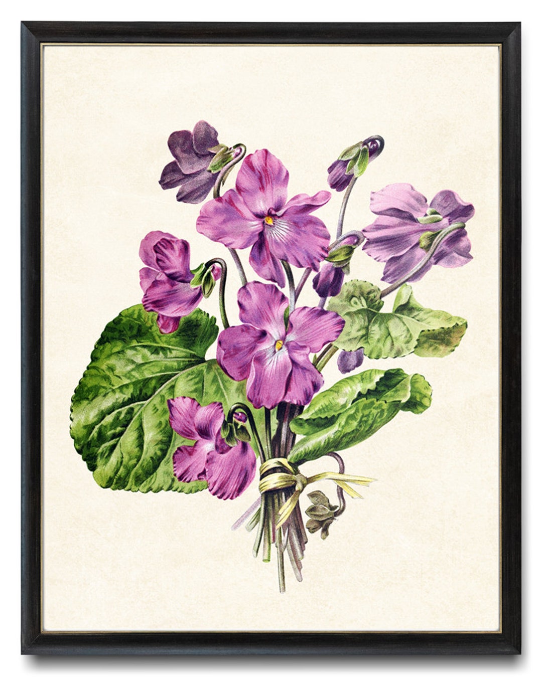 French Violets Printable Art, Vintage Flower Illustration, Botanical ...