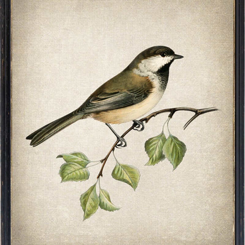 Printable Bird Art - Etsy