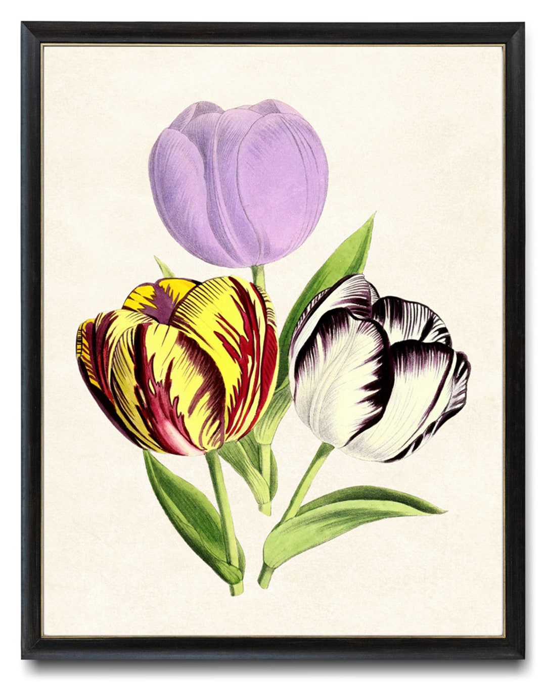 Spring Tulips Digital Print, Vintage Flower Illustration, Printable ...