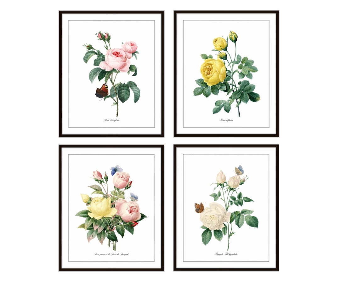 P.J. Redoute Art Roses Set of 4, Printable Vintage Rose Illustrations ...