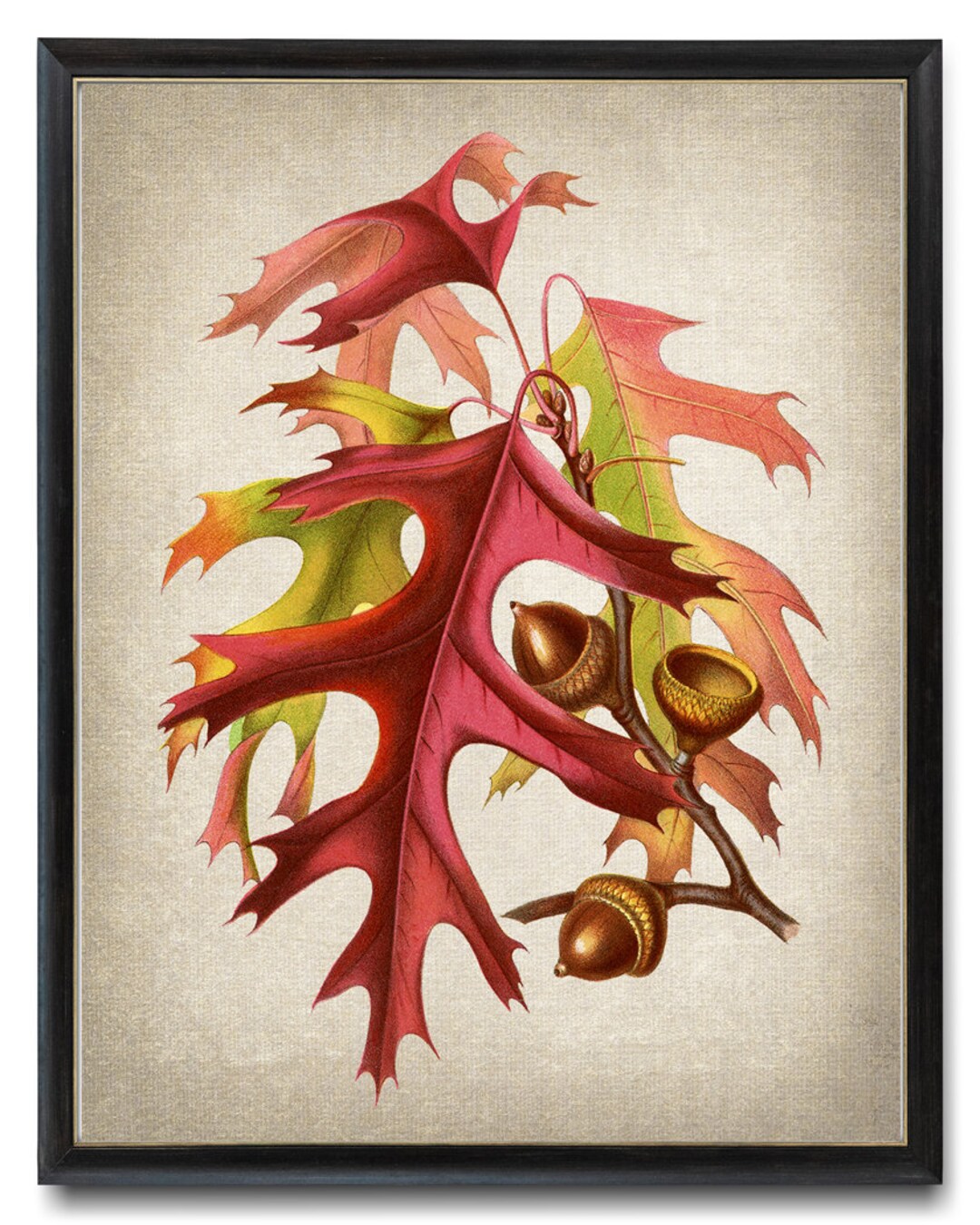 Autumn Leaves and Acorns Digital Print, Vintage Illustration, Fall ...