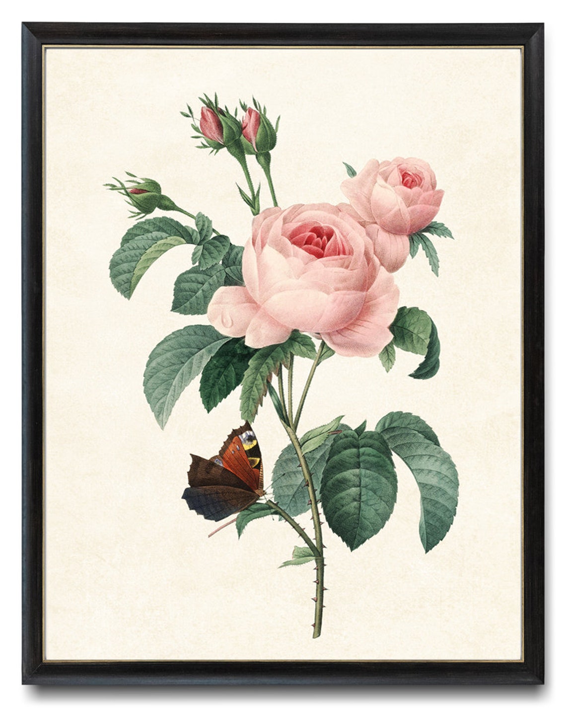 Pink Roses Printable P.J. Redoute Antique Flower - Etsy