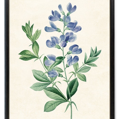 Blue Flowers Printable Vintage Watercolor Illustration - Etsy