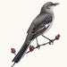 Vintage Mockingbird Painting Clipart, Printable Bird Illustration, PNG ...
