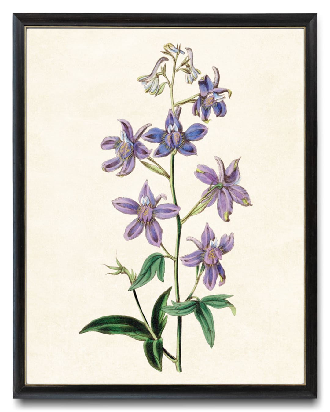 Blue and Purple Delphinium Flowers Digital Print, Vintage Larkspur ...