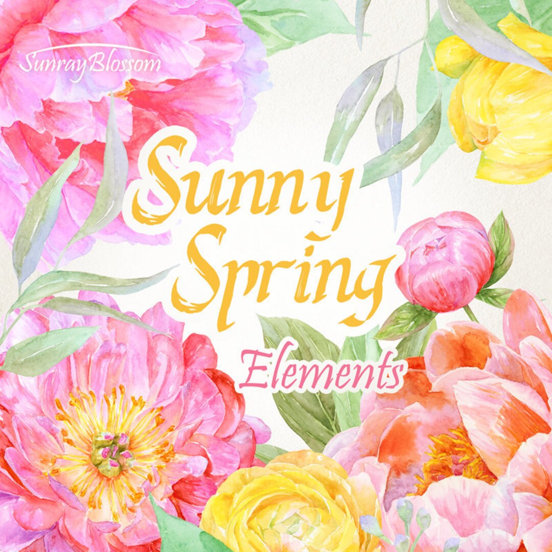 Peony Elements Watercolor Clipart Hand Painted Flowers Clip Art Peonies ...