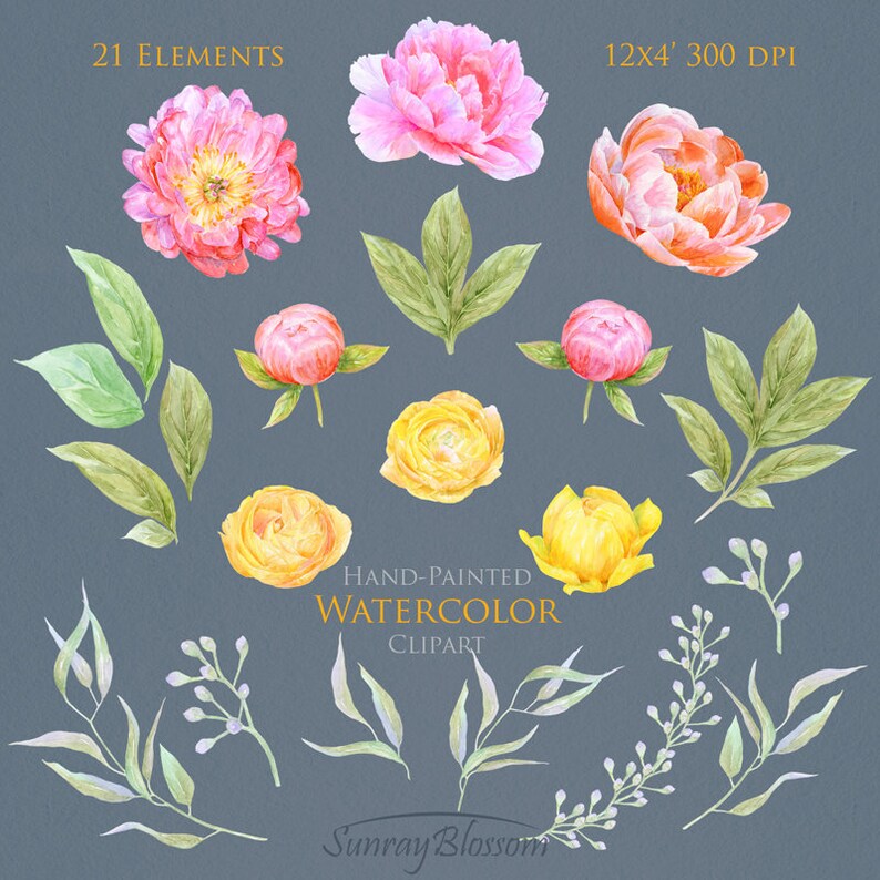 Peony Elements Watercolor Clipart Hand Painted Flowers Clip Art Peonies ...