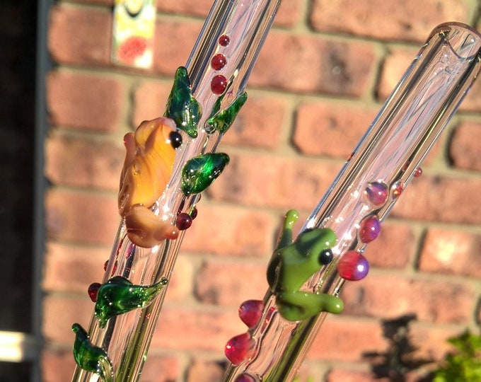 Glass Drink Straws With Frogs, Gift Idea, Straw Cleaner and Gift Box ...