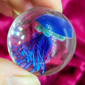 Glass Jellyfish Marble, Handmade in Australia From Borosilicate Glass ...