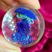 Glass Jellyfish Marble, Handmade in Australia From Borosilicate Glass ...