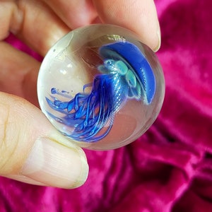 Glass Jellyfish Marble, Handmade in Australia From Borosilicate Glass ...