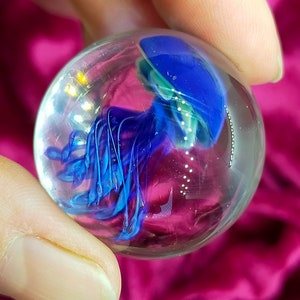 Glass Jellyfish Marble, Handmade in Australia From Borosilicate Glass ...