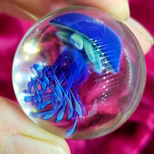 Glass Jellyfish Marble, Handmade in Australia From Borosilicate Glass ...