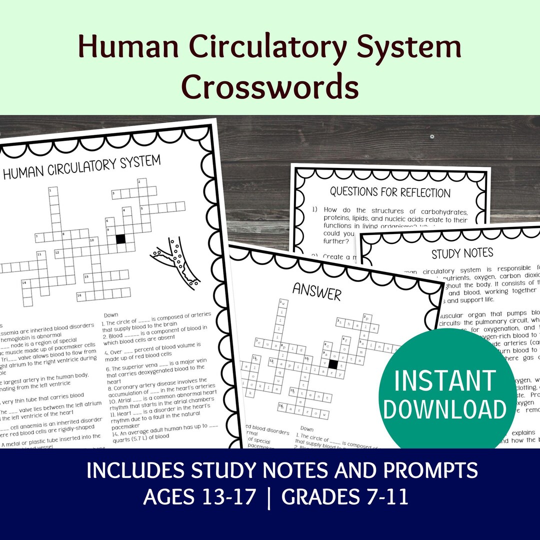 Human Circulatory System Crossword Puzzle, Printable Biology Worksheets ...