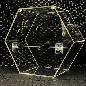 The Hive. Large Spider Cage, Bug Cage, Custom Enclosures, Hive Customs ...