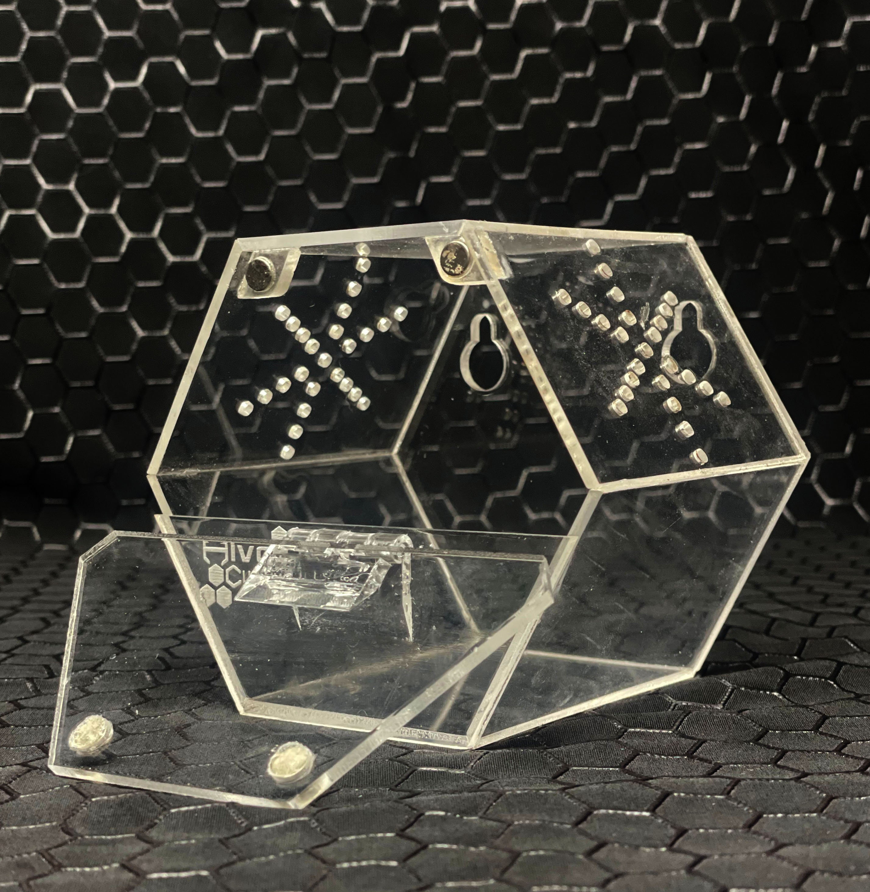 The Hive. Small Spider Cage, Bug Cage, Custom Enclosures, Hive Customs ...