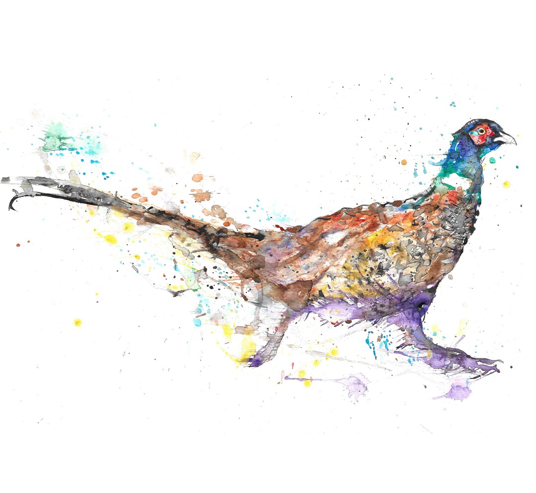 Original Watercolour Pheasant Wall Art Print - Etsy