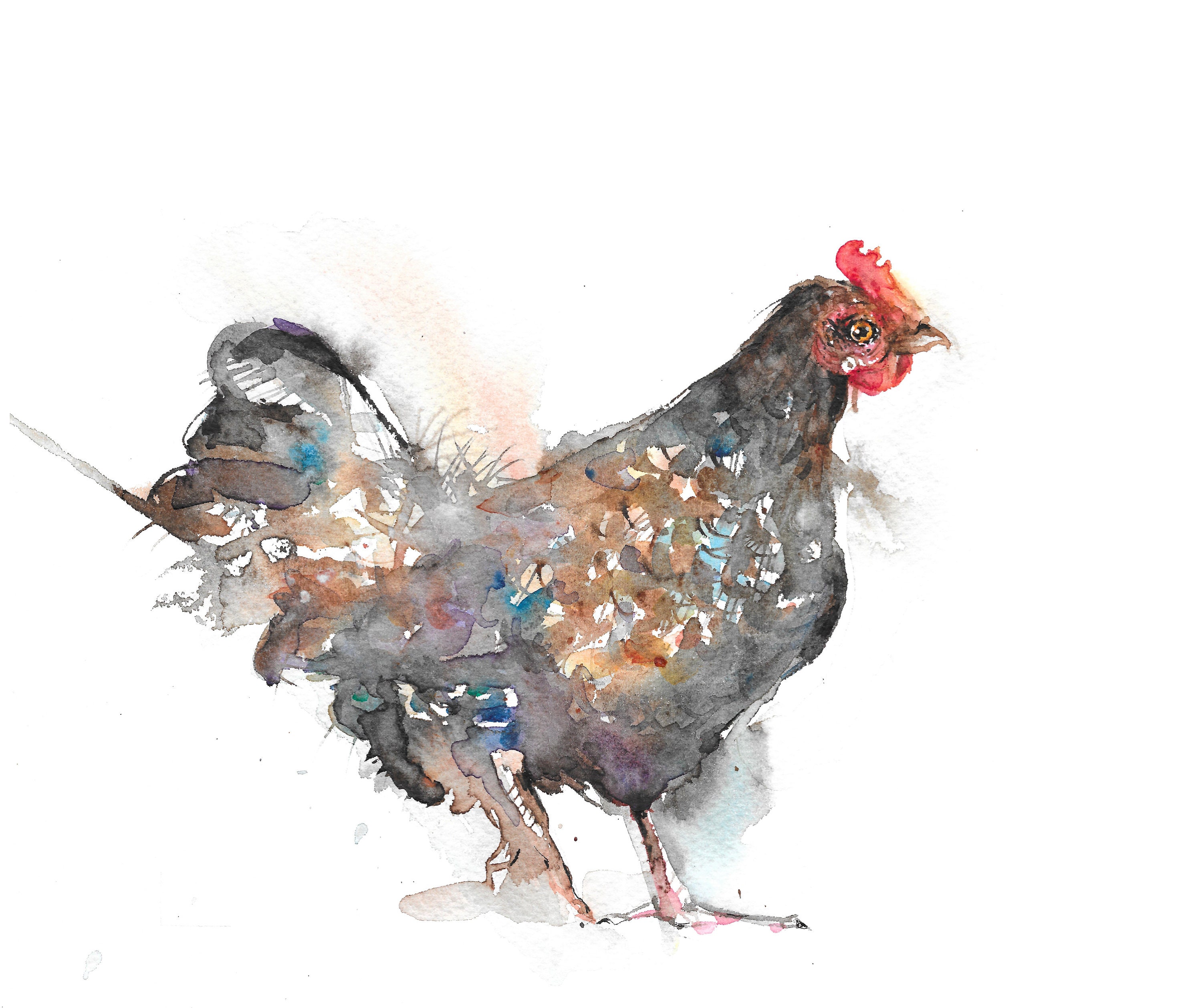 Watercolour Hen Chicken Wall Art Print Farm Animal gift | Etsy