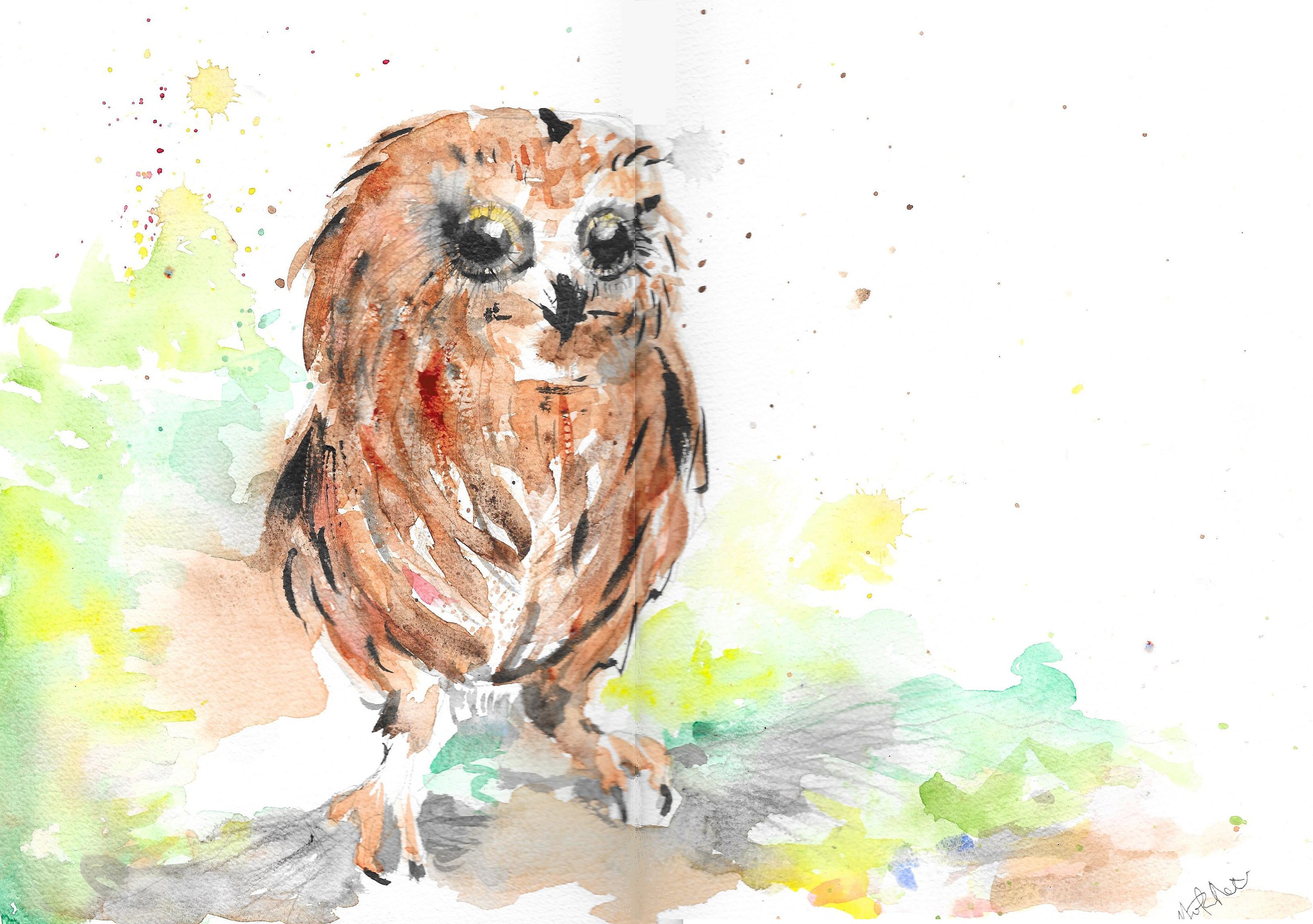 Owl Print Art gift Original wall artwork Watercolour | Etsy