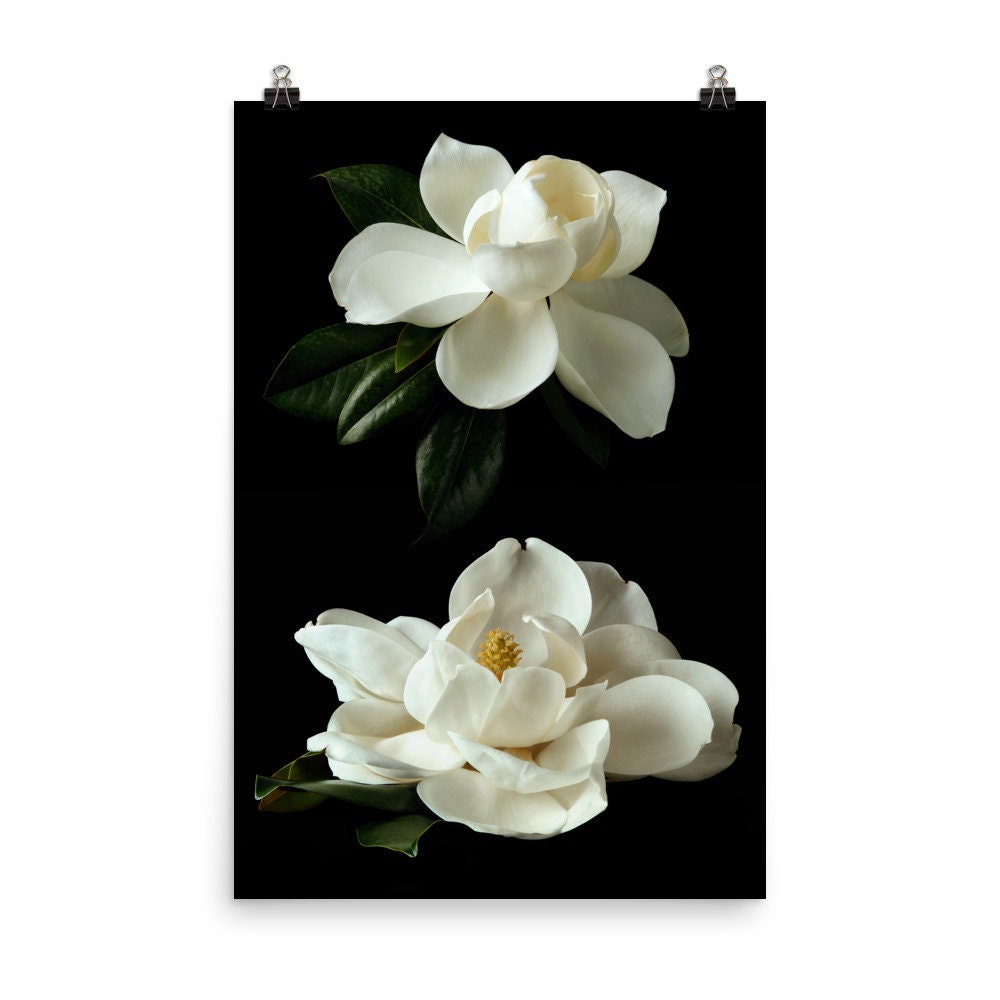 Vonflora Magnolia Print Large Magnolia Photo Wall Art Flower Poster - Etsy