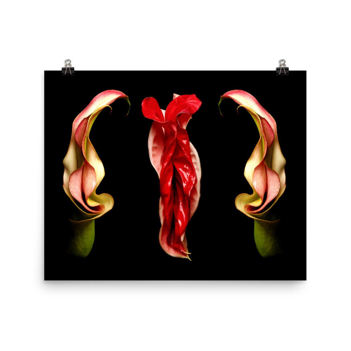 Vonflora Eroflower Anthurium Print Anthurium Flower Print Calla Lily ...