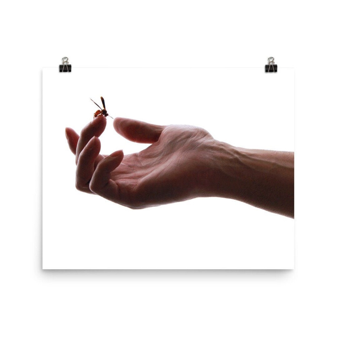 Hand Print Wasp Poster Insect Hand Wall Art Photo - Etsy