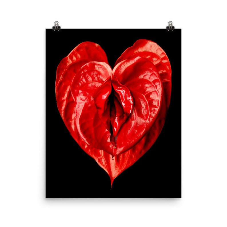 Vonflora Eroflower Anthurium Print Anthurium Heart Flower Print ...
