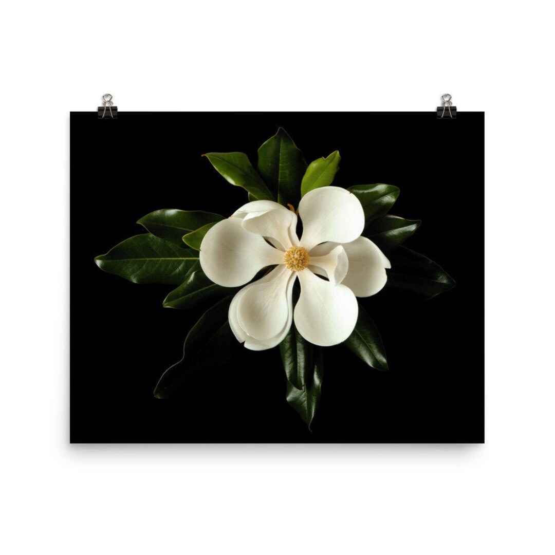 Magnolia Print Wall Art Magnolia Flower Poster 3 - Etsy