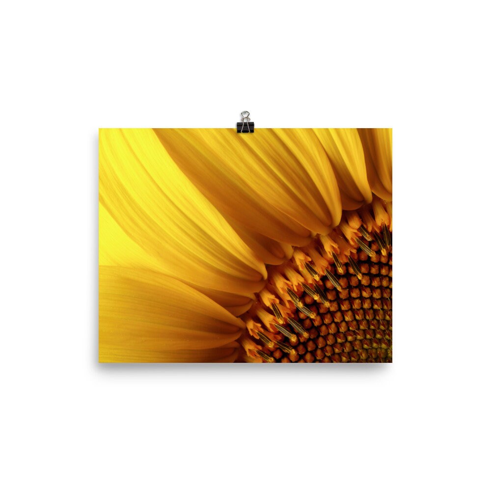 Print Of: Sunflower Print Sunflower Photo Poster Wall Art - Etsy