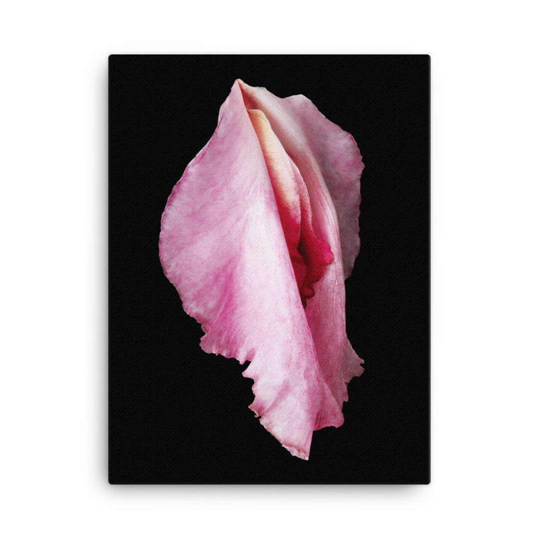 Vonflora Eroflower Pink Orchid Canvas Print Suggestive Flower - Etsy