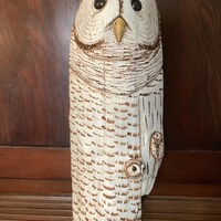 Barred Owl - Etsy