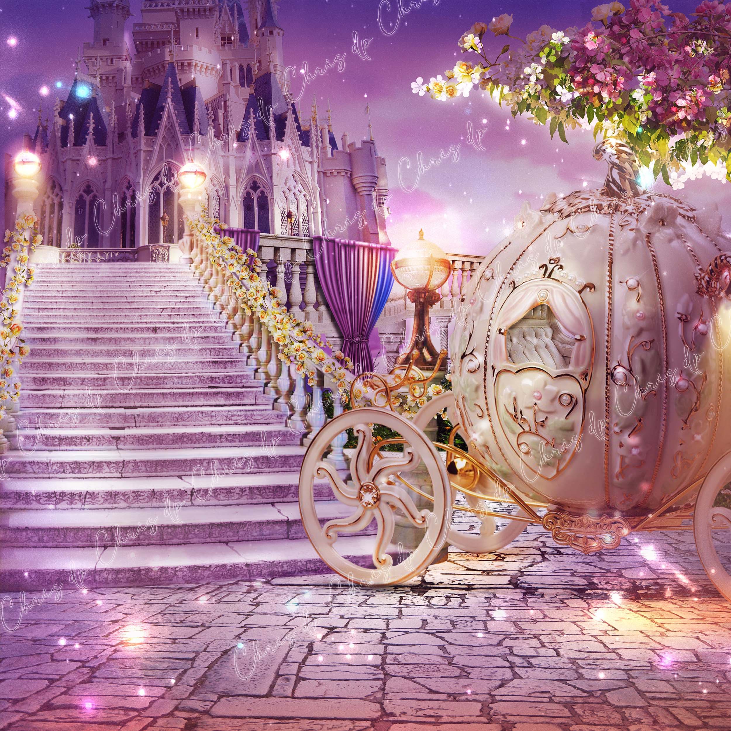 Cinderella Castle Staircase Cinderella Digital Background | Etsy