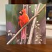 Cardinal Painting, Cardinal in Spring, Original Cardinal Art, When ...