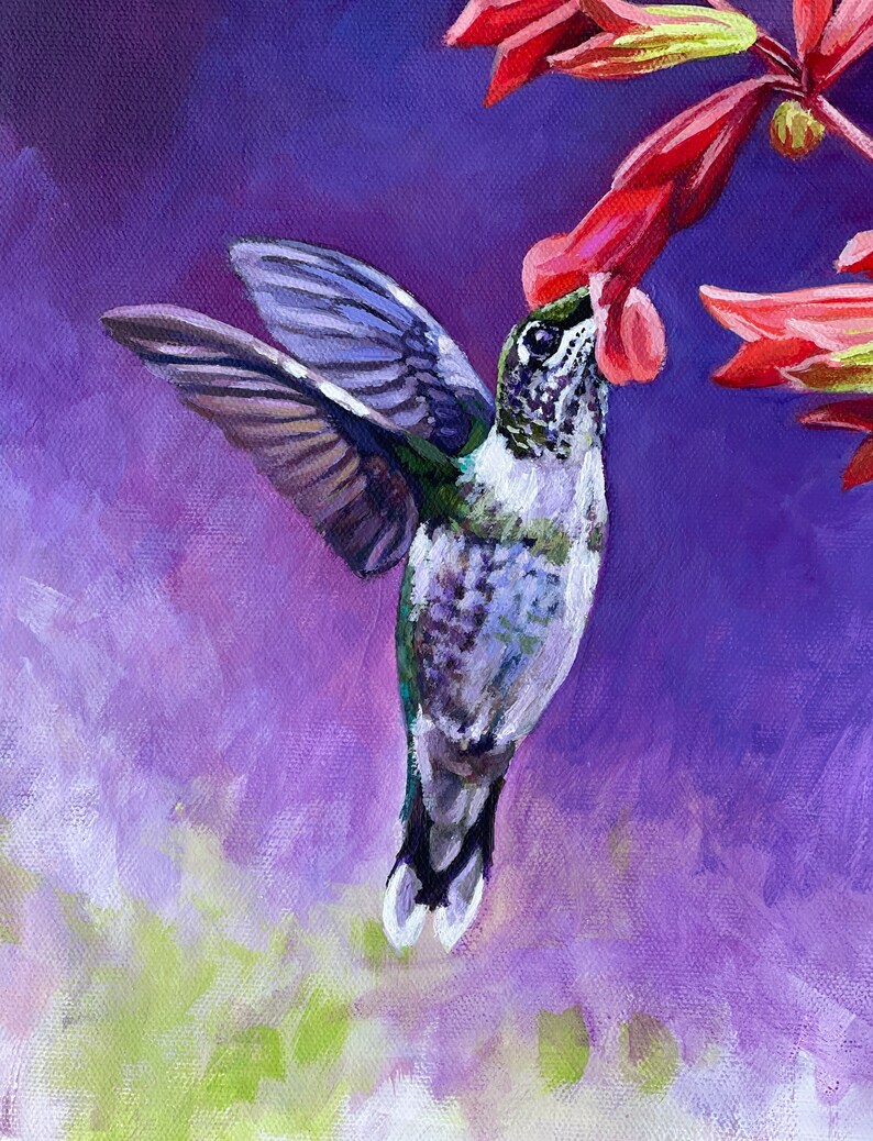 Hummingbird Painting Small Bird Wall Art Hummingbird Canvas - Etsy