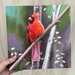 Cardinal Painting, Cardinal in Spring, Original Cardinal Art, When ...