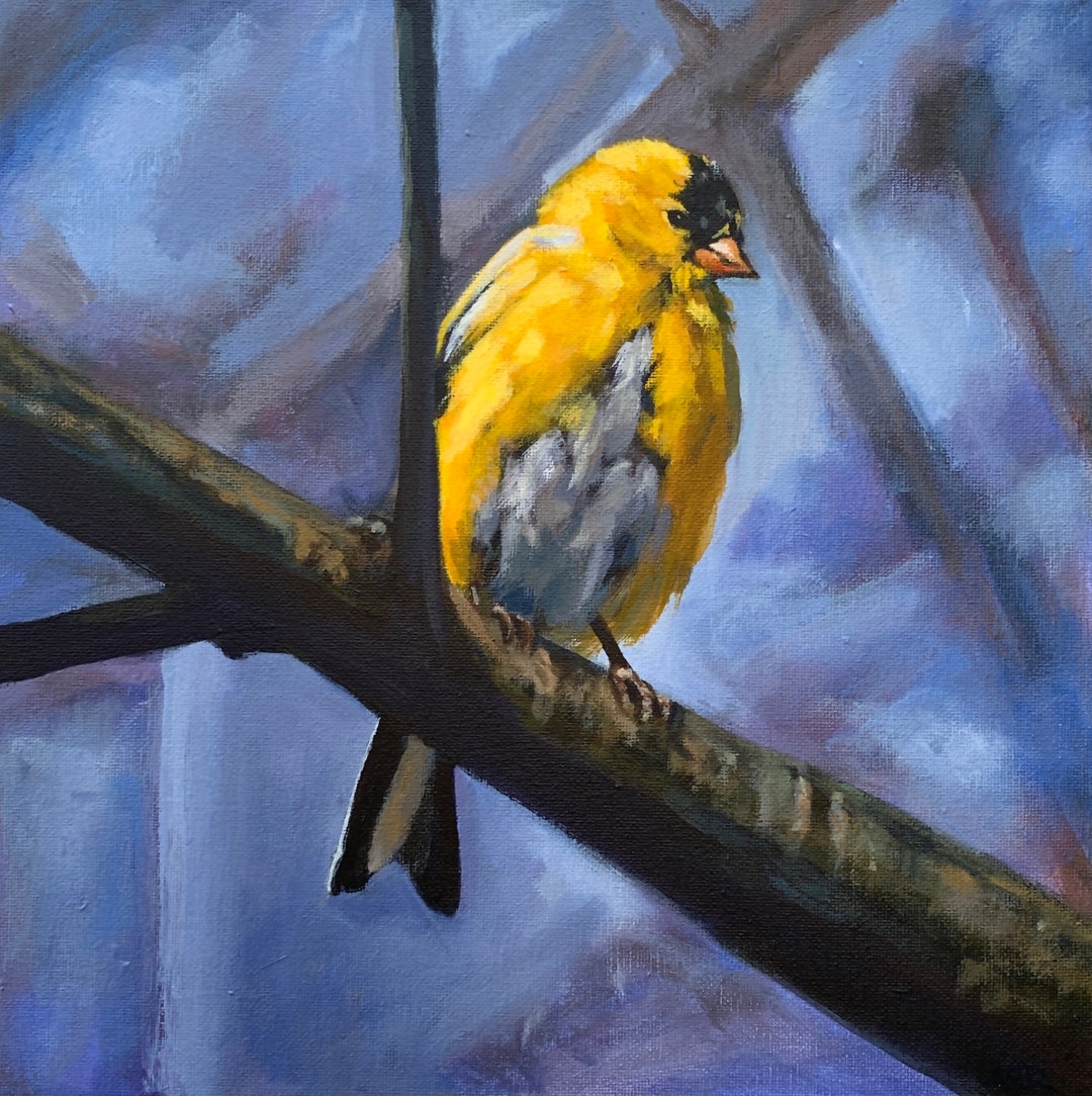 Original Painting of a Goldfinch on Canvas Goldfinch Art - Etsy