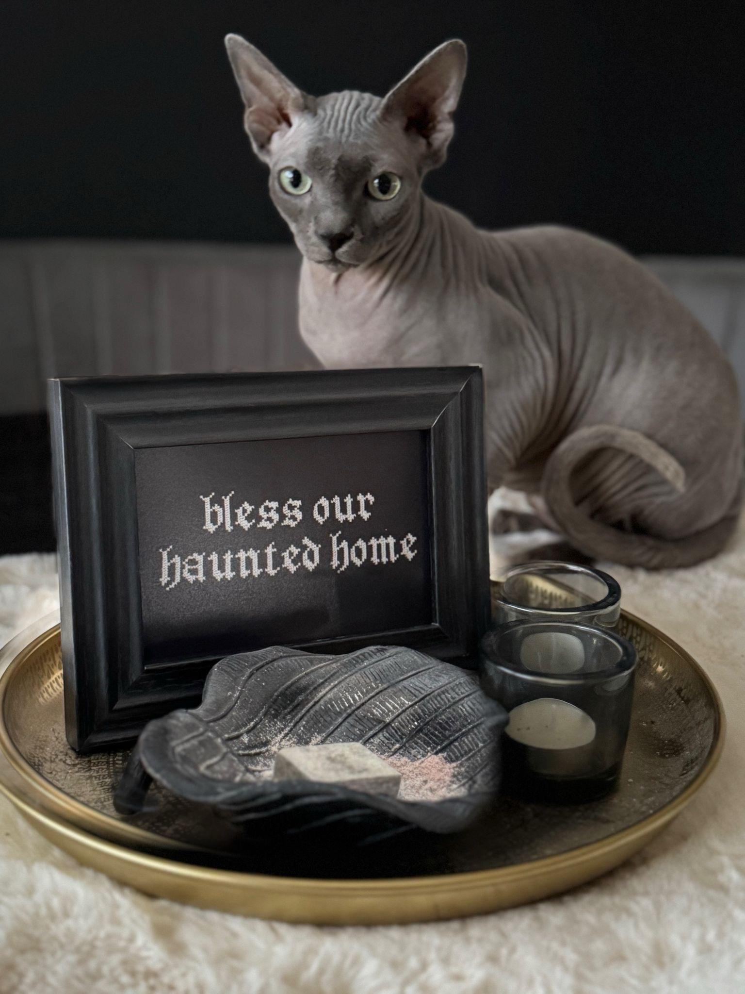 Bless Our Haunted Home Cross Stitch, Gifts for Them, New Home ...
