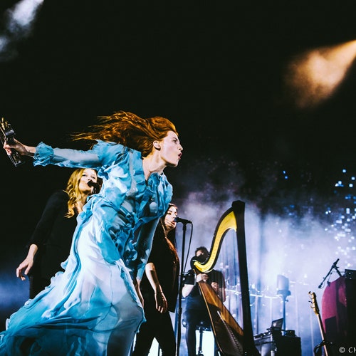 Florence and the Machine Poster Vector Portrait Wall Art | Etsy