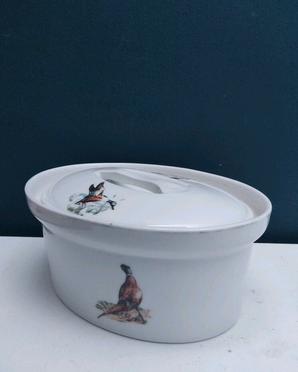 Vintage APILCO Porcelain a Feu France Oval Lidded Casserole Dish Wild ...