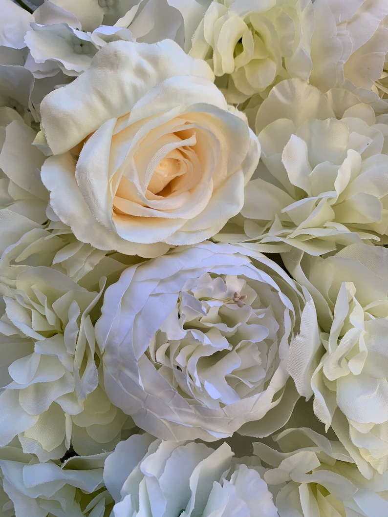 DREAM Ivory Flower Wall Panel 40x60cm: Ivory Peonies - Etsy