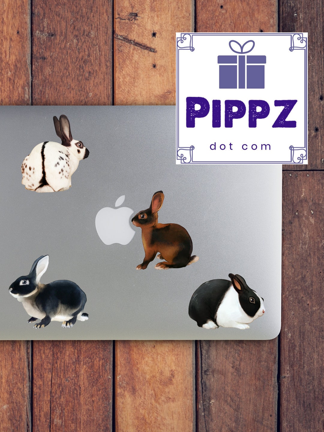 Rabbit Bunny Stickers 12 Different Breeds - Etsy