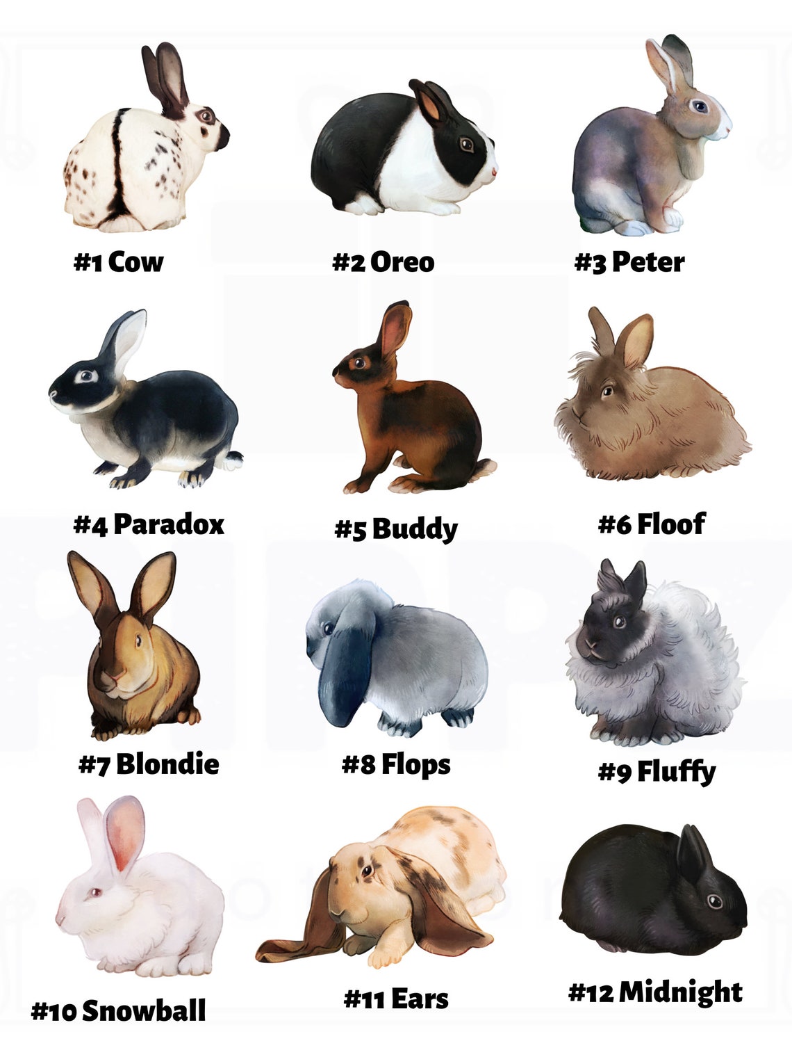 Rabbit Bunny Stickers 12 Different Breeds | Etsy